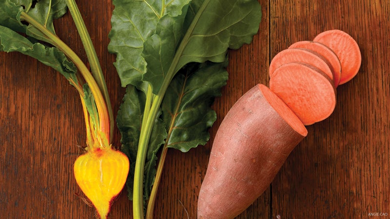 Restore Your Rasa: Pratyahara Teaches the Importance of Reserving Rasa