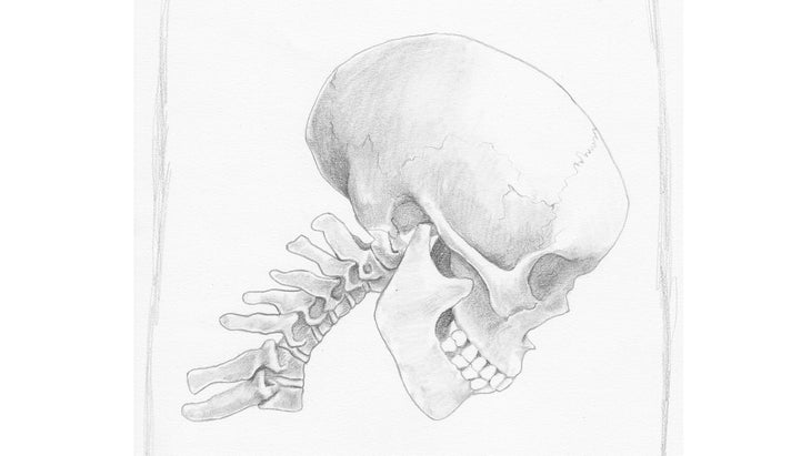 Anatomy: Know Your Neck, Plus 4 Stretches to Ease Neck Pain - Yoga Journal